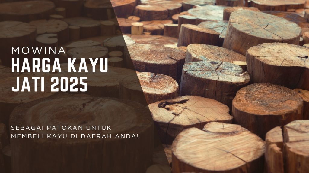 Harga Kayu Log Jati 2025 - MOWINA Blog