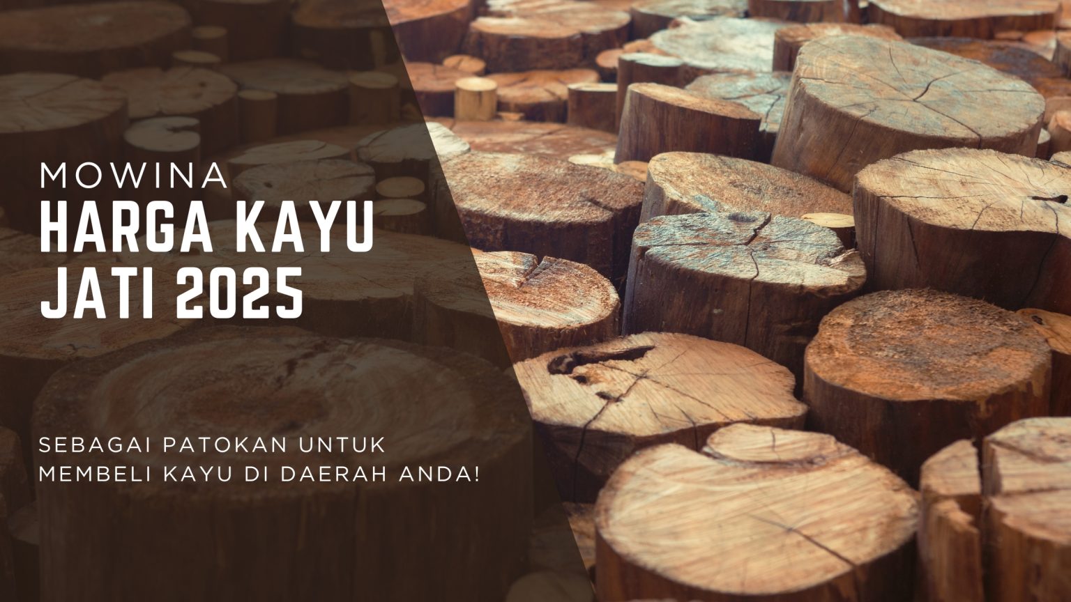 Harga Kayu Log Jati 2025 - MOWINA Blog