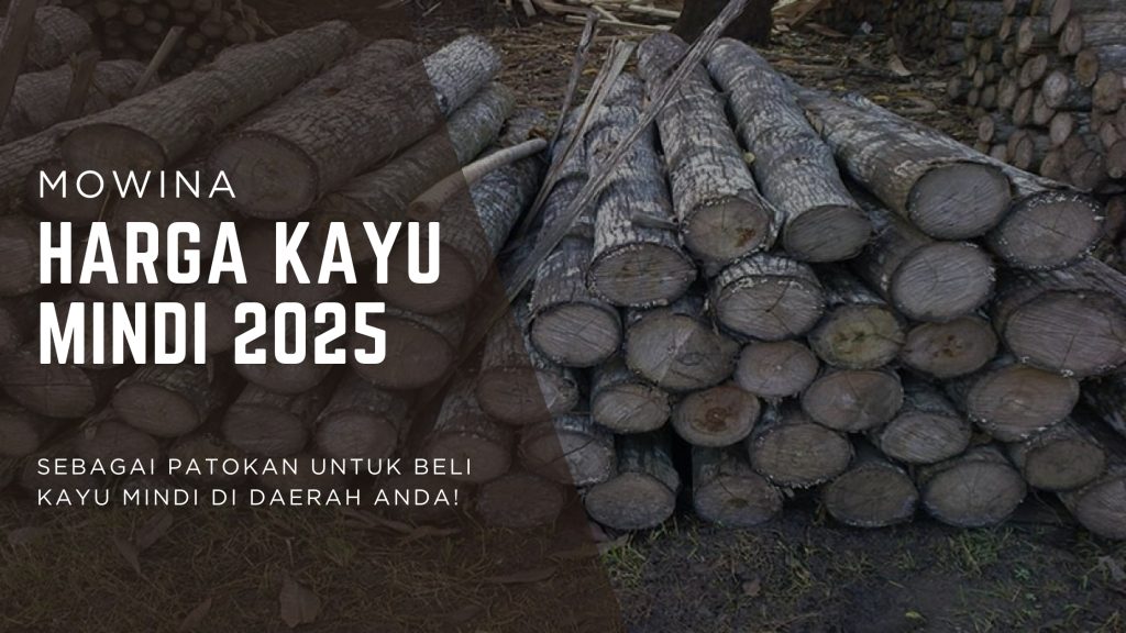 Harga Kayu Log Mindi 2025 - MOWINA Blog